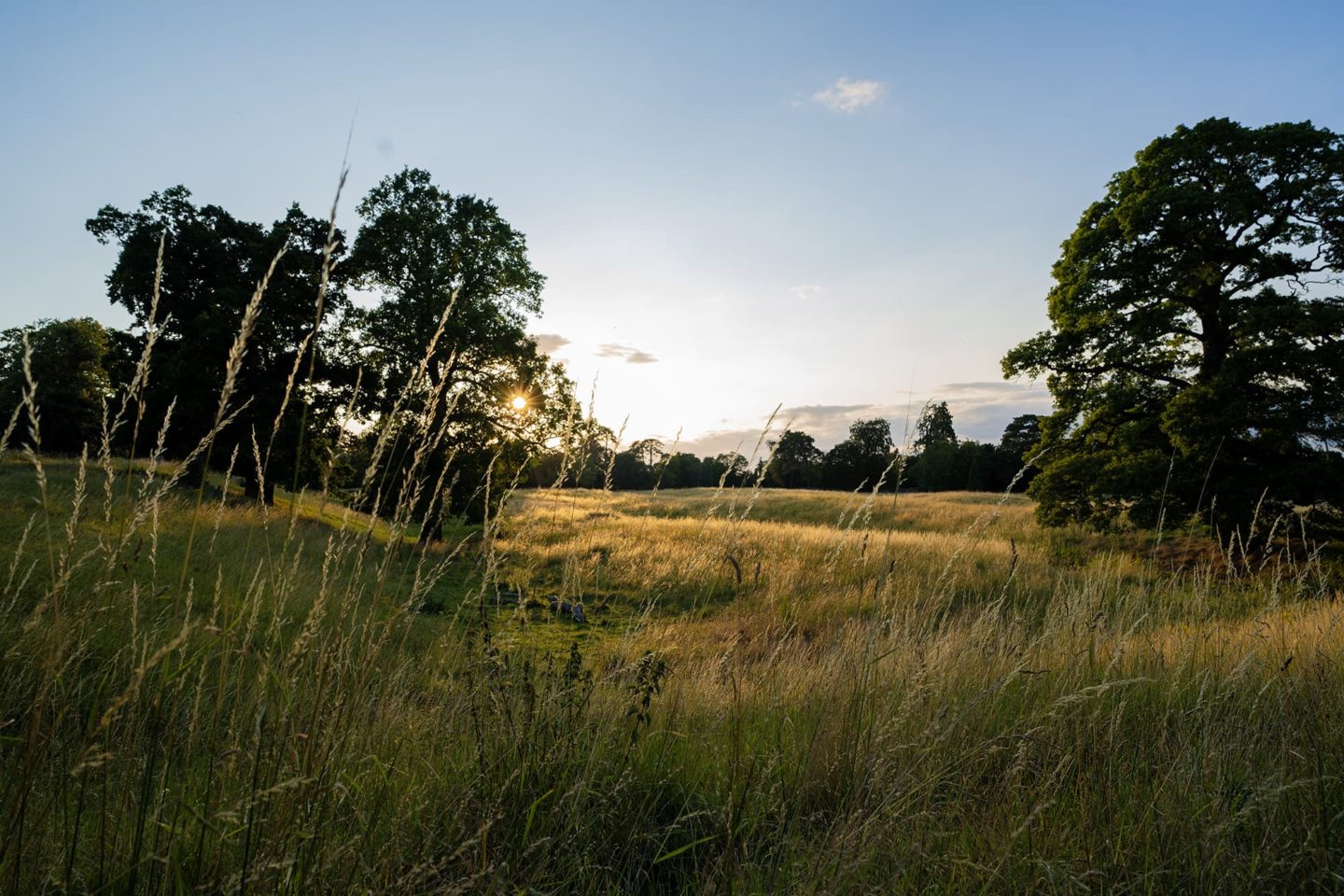 Riverside – Visit Wallingford